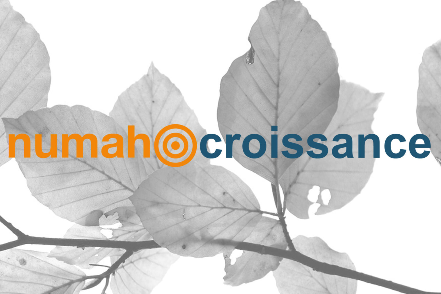 Numah Conseil - Recrutement. Coaching. Humain Conseil en recrutement - Bienvenue